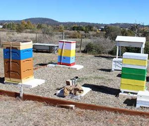 Hive construction and labelling « Bee Aware